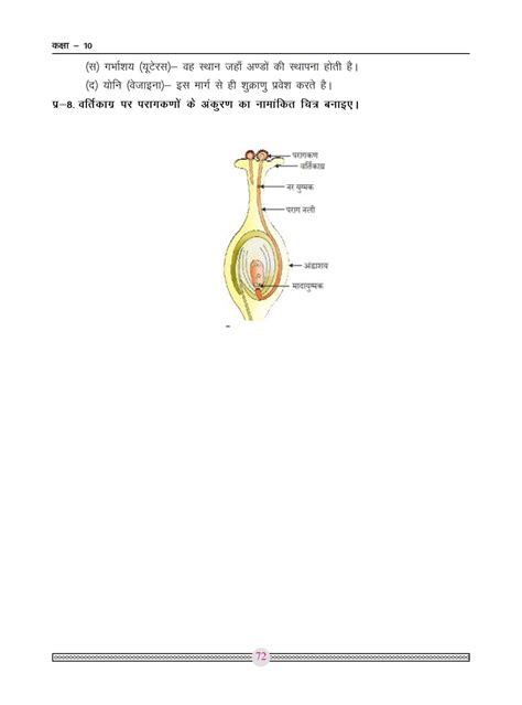 MP Board Remedial Module Class 10 Science 2025 PDF AglaSem