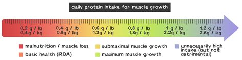 How to Eat for Muscle Building – Complete Beginner’s Guide – Think Eat Lift