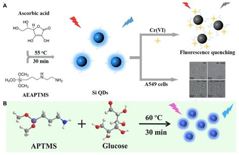Recent Advances In Silicon Quantum Dot Based Fluorescent Biosensors