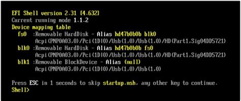 How To Access The Efi Shell To Carry Out Systems