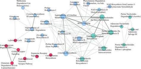 Pathway Crosstalk Plot Used To Explore The Interrelationships Between Download Scientific