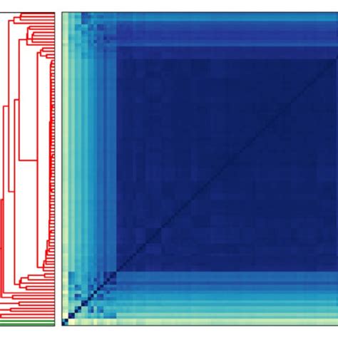Heatmap And Dendrogram Generated Using Sourmash Signatures Built From