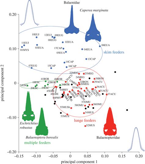 The Results Of Pca Showing The Ids Of Modern Taxa Ovals Represent 90 Download Scientific
