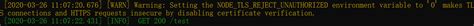 warning setting the node tls reject unauthorized environment variable