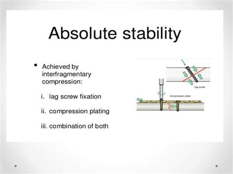 Bone Biology And Principle Of Bone Healing Ppt