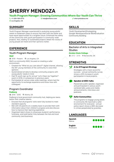 Program Manager Resume Examples Guide For