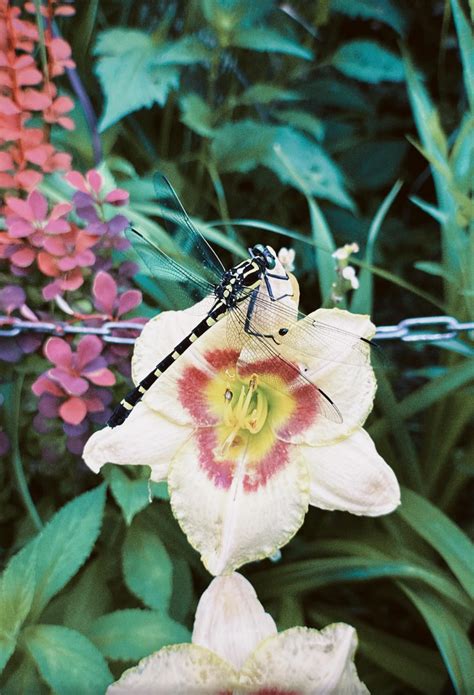 230711 Danielle Phoning Photo Update R Newjeans