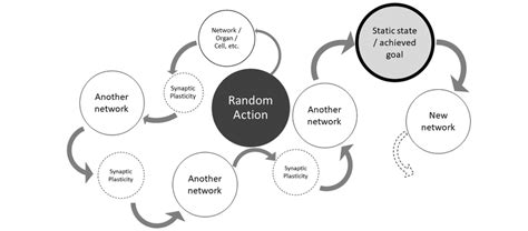 illustrated diagram visualizing the network self organization idea