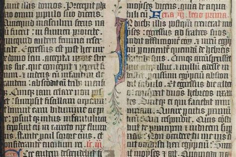 Dr David Rundle To Deliver The University Of Londons Annual Coffin Palaeography Lecture Mems News