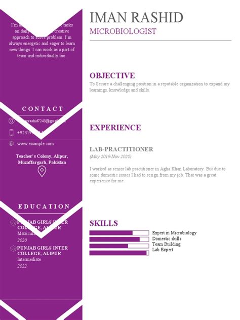 Cv Format Pdf