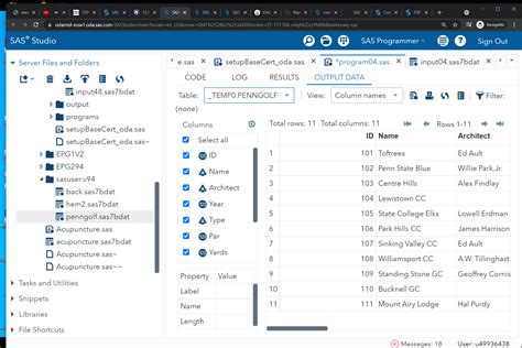 Why Is Data Output Defaulting To Temporary Work File Sas Support