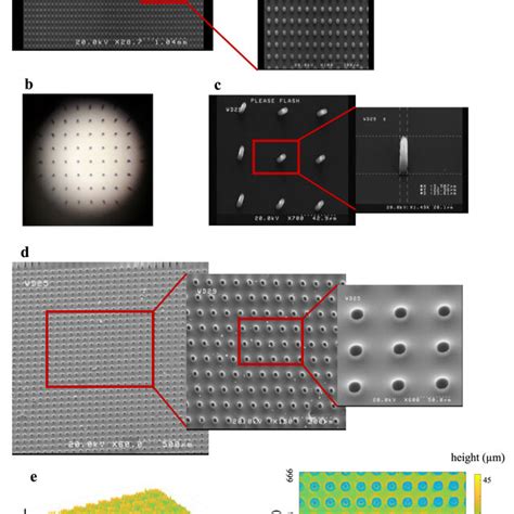 The Fabricated Mold And Membrane A Fesem Microscopy Of The 30 μm