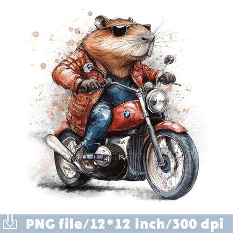 Capybara Motorbike Rider Riding A Motorcycle Clip Art In 2025