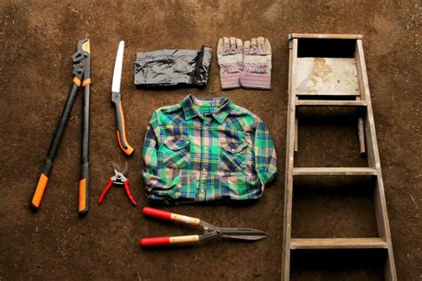 How To Prune Peach Trees