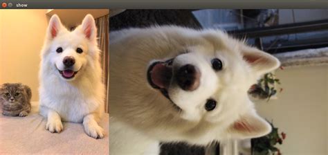 Gms特征点匹配分析 知乎