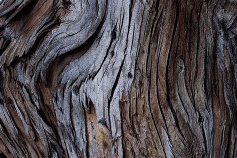 Gitflow Vs Trunk Based Development Finding The Right Balance For Your