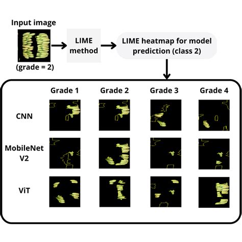 Examples Of Explanations For Deep Models Generated Using Lime A And
