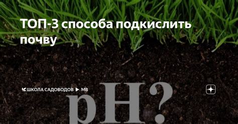 ТОП-3 способа подкислить почву | 🌿Школа садоводов Марии В. | Дзен