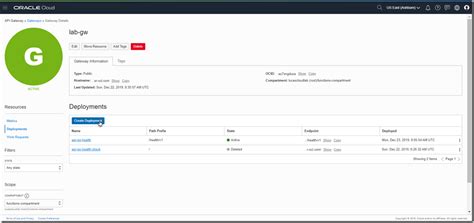 Oracle Cloud Serverless Functions Unleashed Exposing Oci Functions