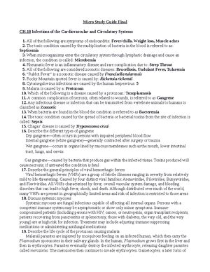 Lab Report Bacterial Isolation NAME DATE Lab Report Bacterial Isolation This Lab Report Is