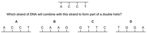 Igcse Biology 0610 4 1 Biological Molecules Igcse Style Questions