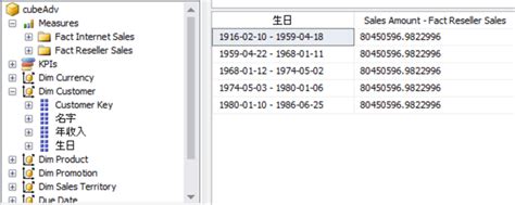 How To Enable Localization Support For Ssas Dimension Attributes