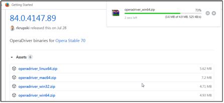 Selenium WebDriver Executing Selenium Scripts On Opera Browser QAFox