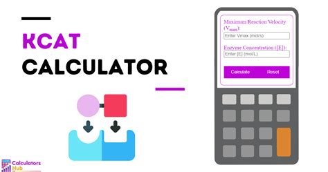 Kcat Calculator Online