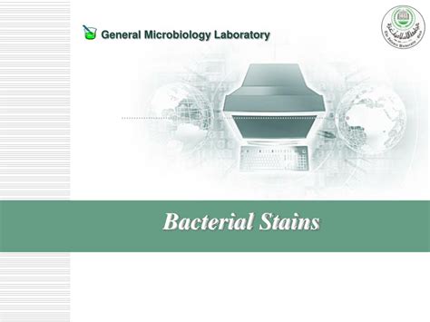 Ppt Bacterial Stains Powerpoint Presentation Free Download Id525569