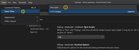Visual Studio Code NPM Scripts Not Showing In The Explorer Sidebar Stack Overflow