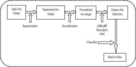 Framework Of Fake Iris Detection System Download Scientific Diagram