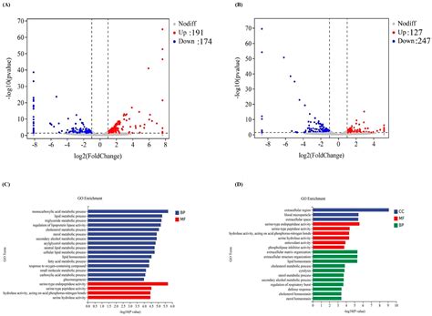 Dietary Curcumin Supplementation Could Improve Muscle Quality Antioxidant Enzyme Activities And
