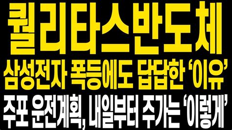 퀄리타스반도체 주가전망 현 주가 상황에 대해 먼저 점검하고 앞으로 전망까지 확실하게 짚어드립니다 꼭 확인하시고 중심잡으세요