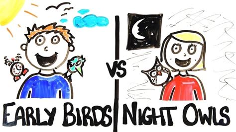 Night active clipart 20 free Cliparts | Download images on Clipground 2024