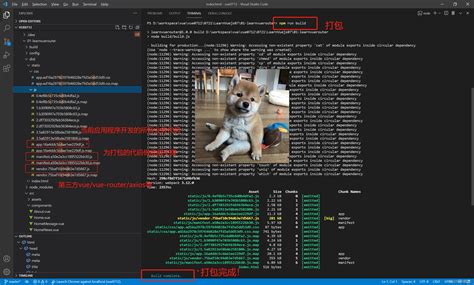 Vue基础知识总结 11：前端路由vue Router Csdn博客