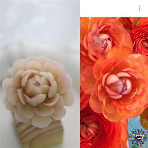 라넌큘러스 하노이 오늘은 색은 다르게 대구플라워케이크 대구꽃배움반 대구앙금플라워 대구앙금꽃배움반 대구앙금플라워떡케이크 플라워케이크 Flower