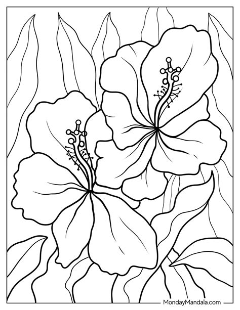 53 Flower Coloring Pages Free Pdf Printables Worksheets Library