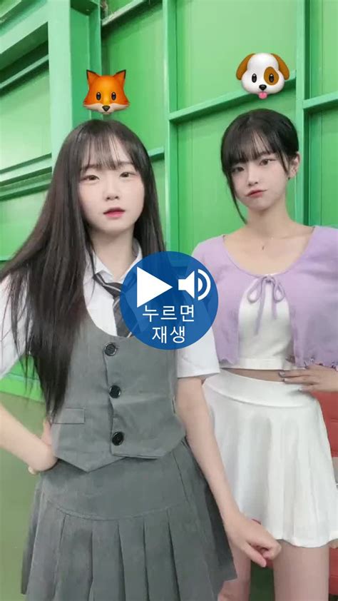 진자림 With 쵸단 치지직 에펨코리아