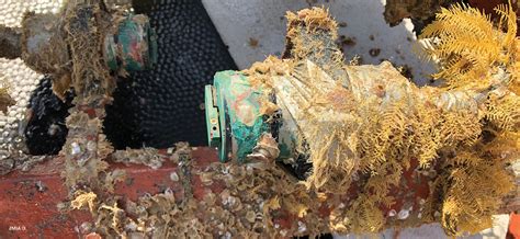 Uv Light Provides Non Toxic Biofouling Control For Marine Instrumentation Aims