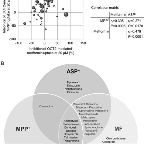 concentration dependent inhibition of oct2 mediated metformin uptake