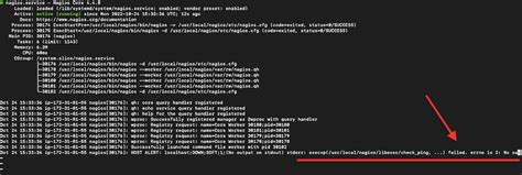 Nagios Core Beginners Guide For 2024