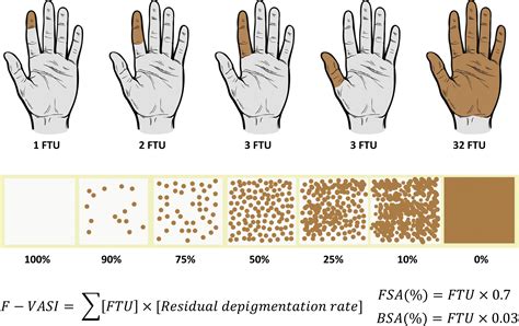 Development And Validation Of The Fingertip Unit For Assessing Facial