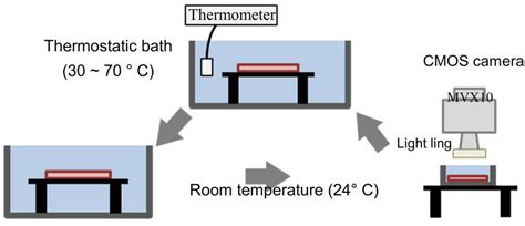 Schematic Diagram Of The Calibration Process Download Scientific Diagram