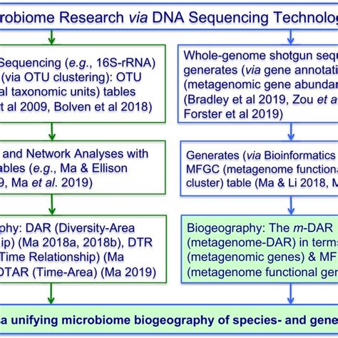 Diagram Showing The Bioinformatic Pipelines And Ecological Tools To