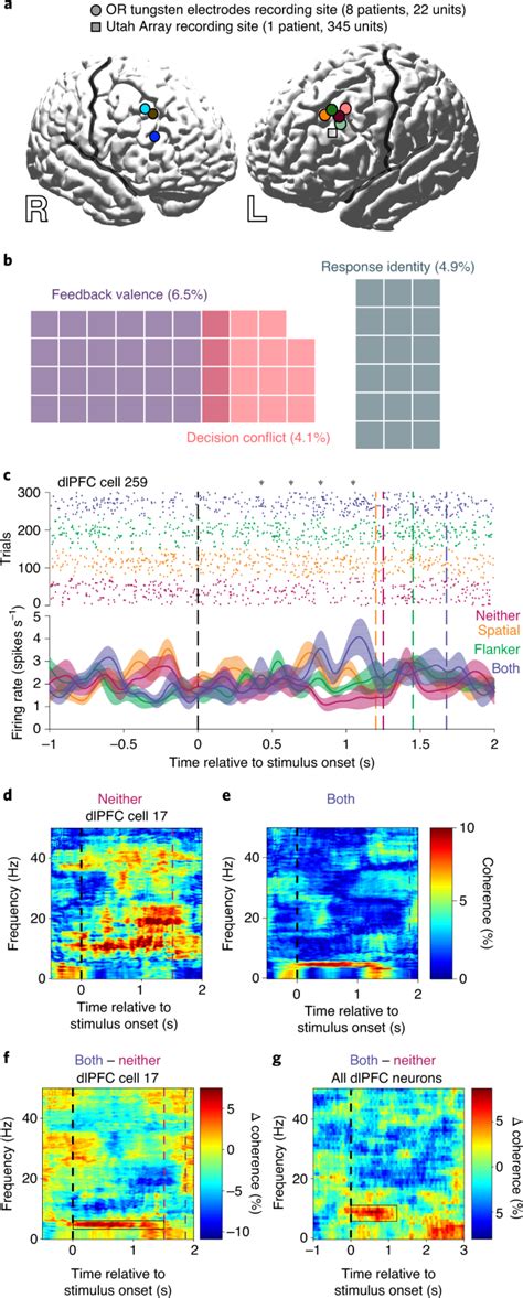 Widespread Temporal Coding Of Cognitive Control In The Human Prefrontal