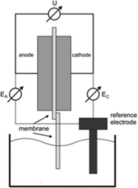 Application Of A Reference Electrode Rhe To Measure Anode And Cathode