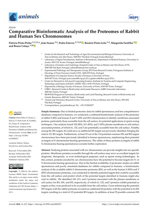 Pdf Comparative Bioinformatic Analysis Of The Proteomes Of Rabbit And Human Sex Chromosomes