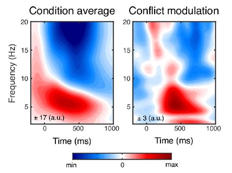 Average Midfrontal Component Time Frequency Decompositions Appear Download Scientific Diagram