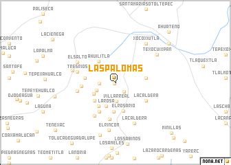Las Palomas Mexico Map