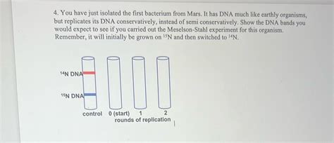 [solved] 4 You Have Just Isolated The First Bacterium From Mars It Has Dna Course Hero
